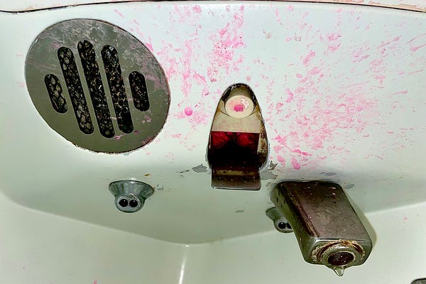 alice garnett substack