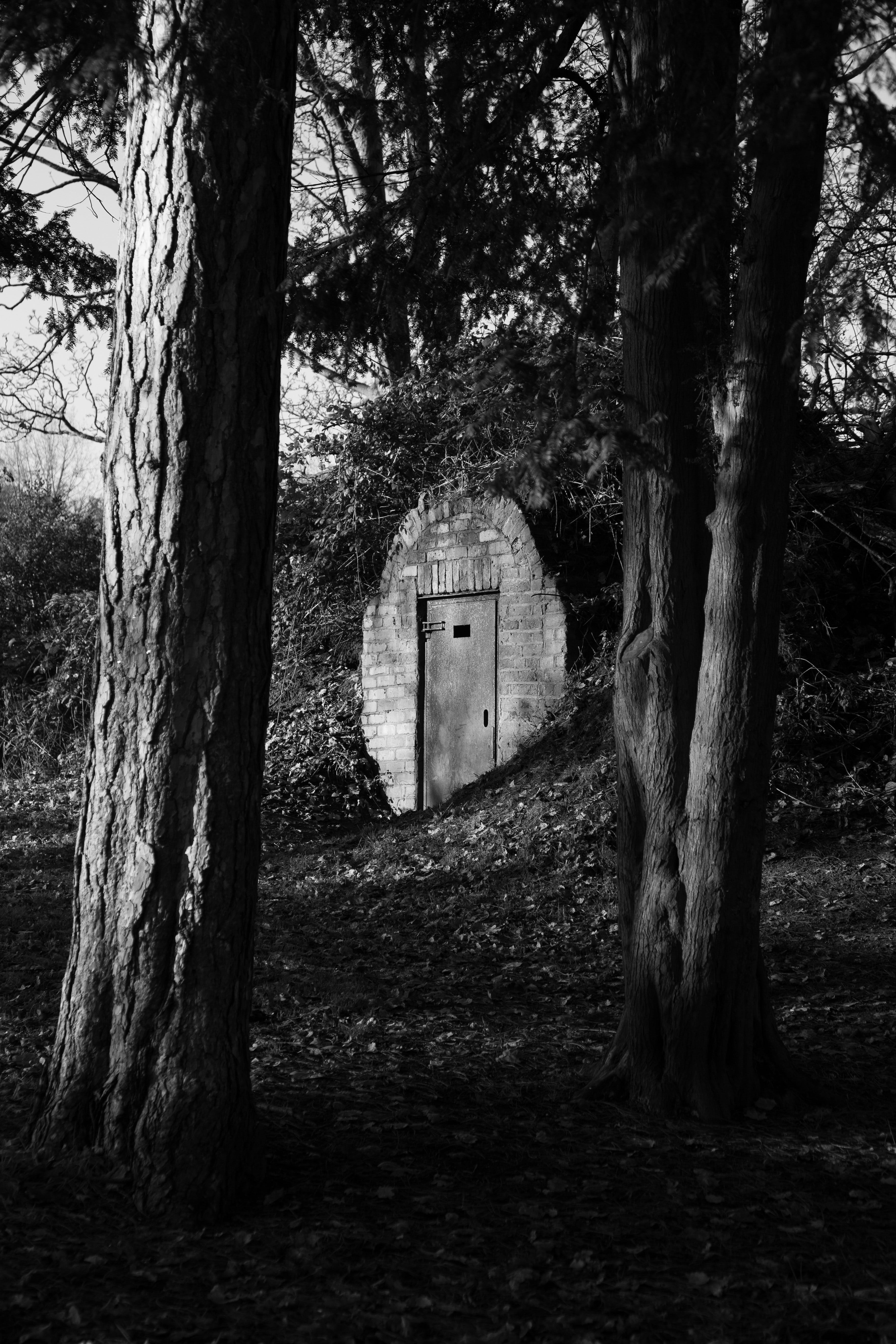 Our Hiding Place - by Tom Sims