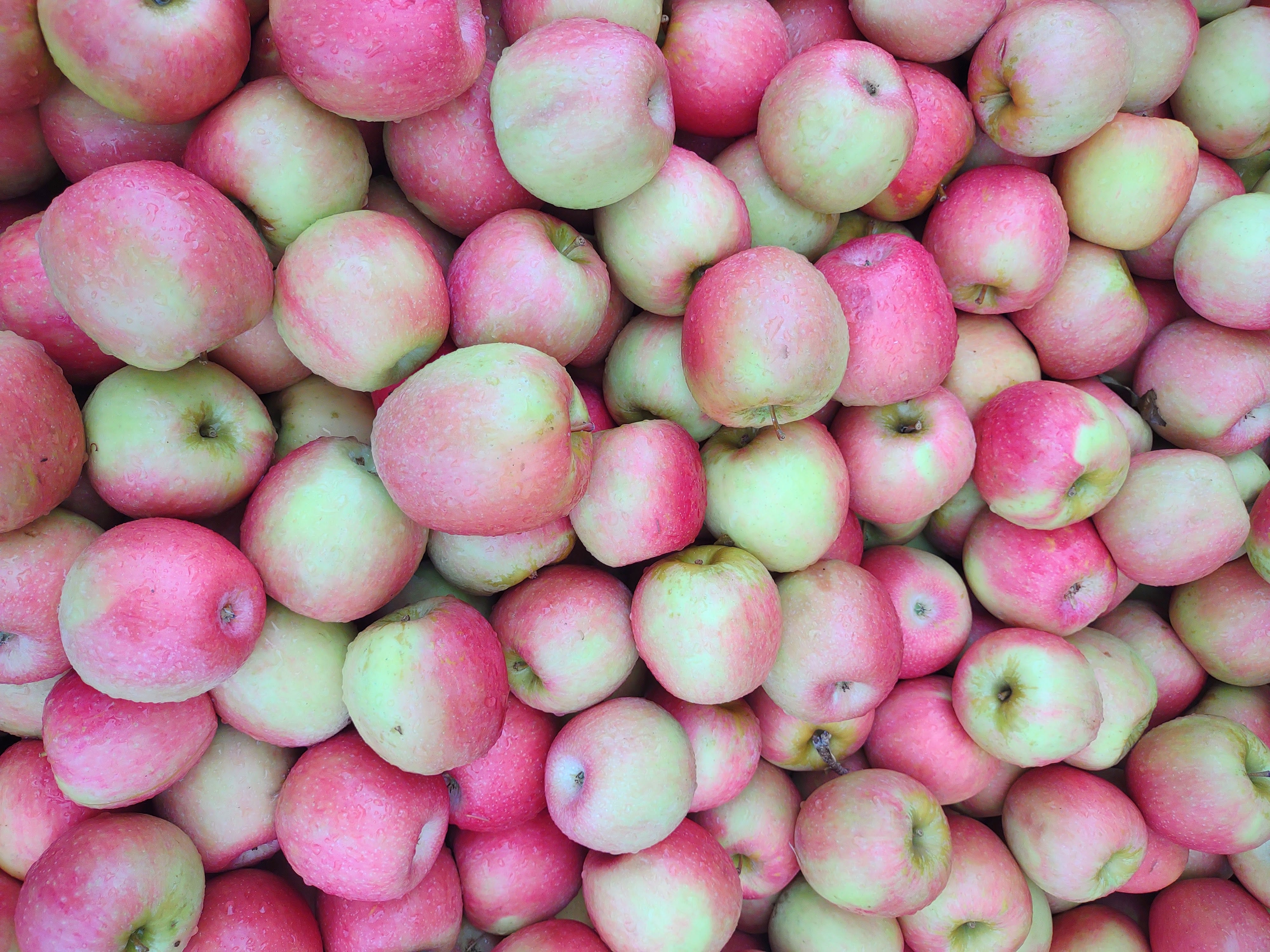 Closing in on 100 Apples - by Eric Samuelson
