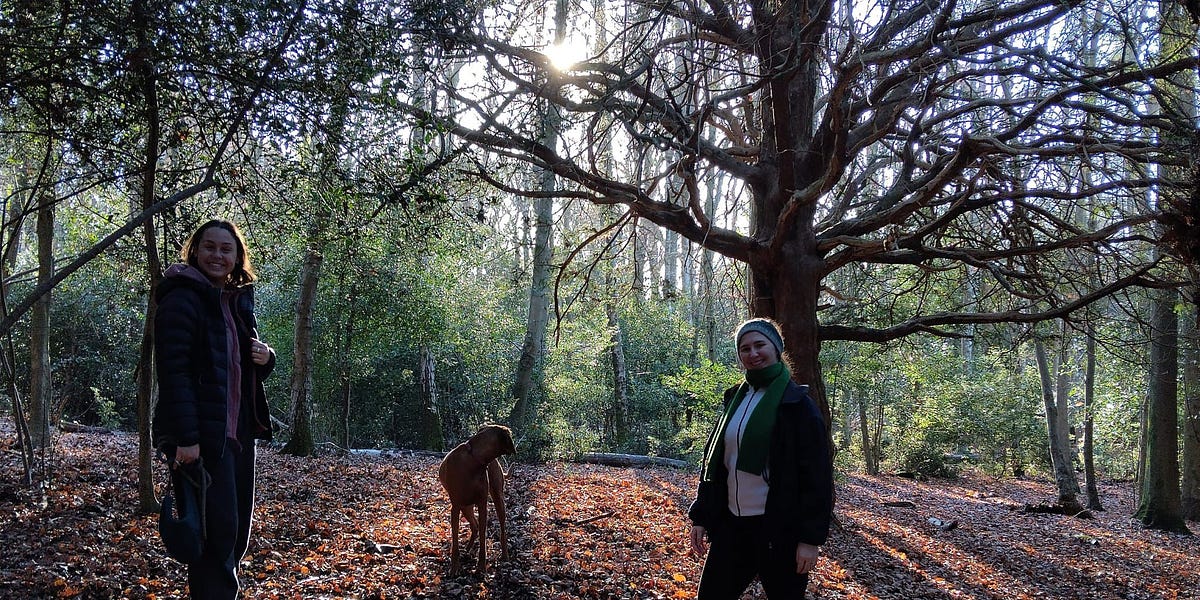 Logging Off Club: December - Logging Off Club