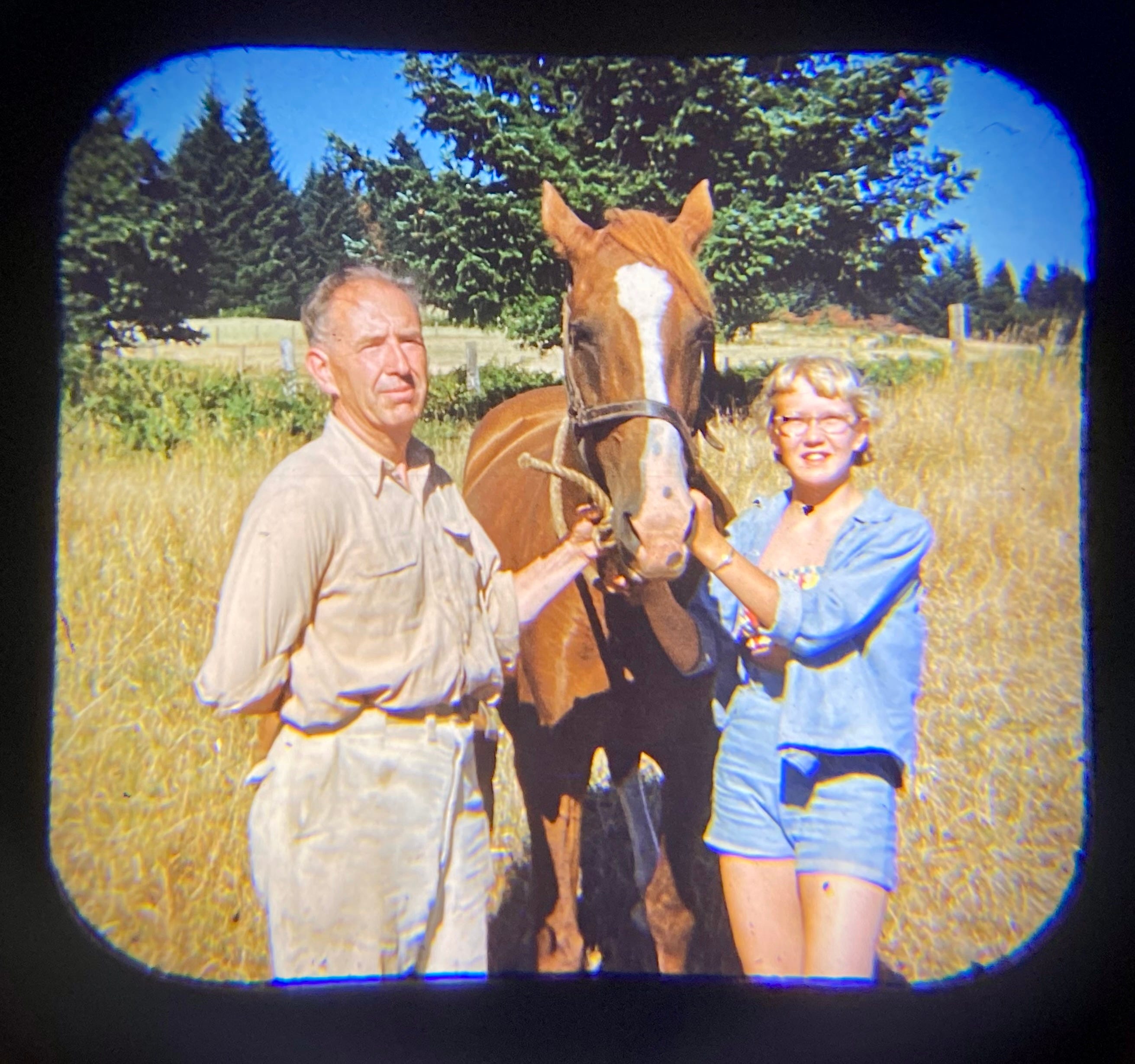 Jones Farm - by Rebecca Kilbreath - History in Kodachrome