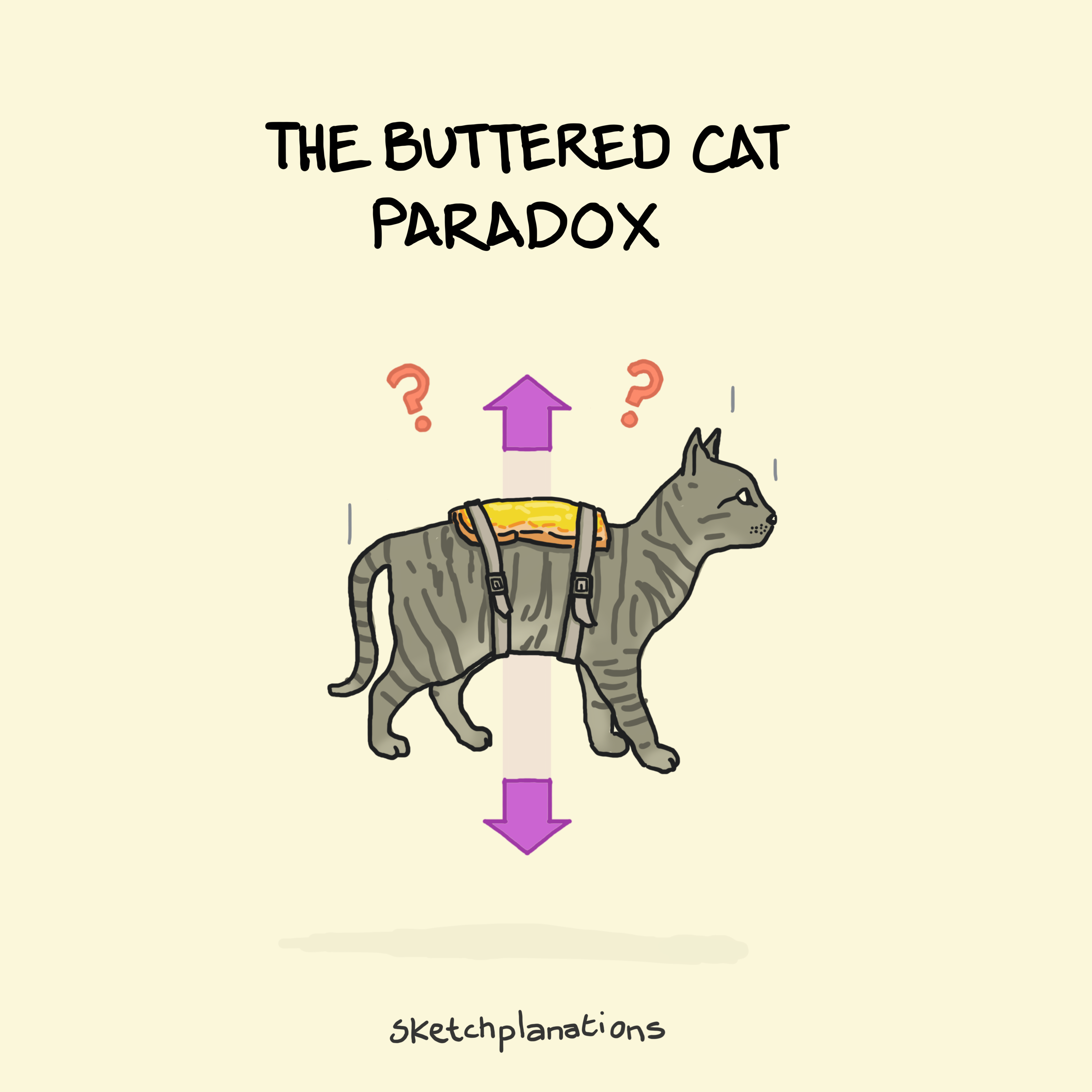 The Buttered Cat Paradox - by Jono Hey - Sketchplanations