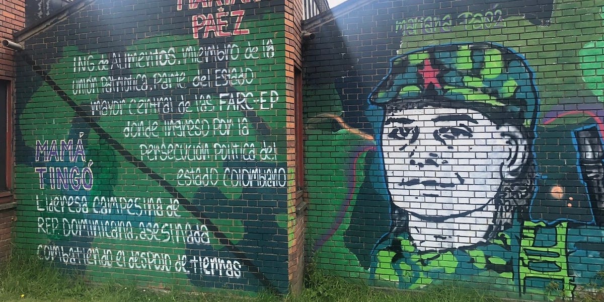 Remains of the FARC Guerilla (2025)