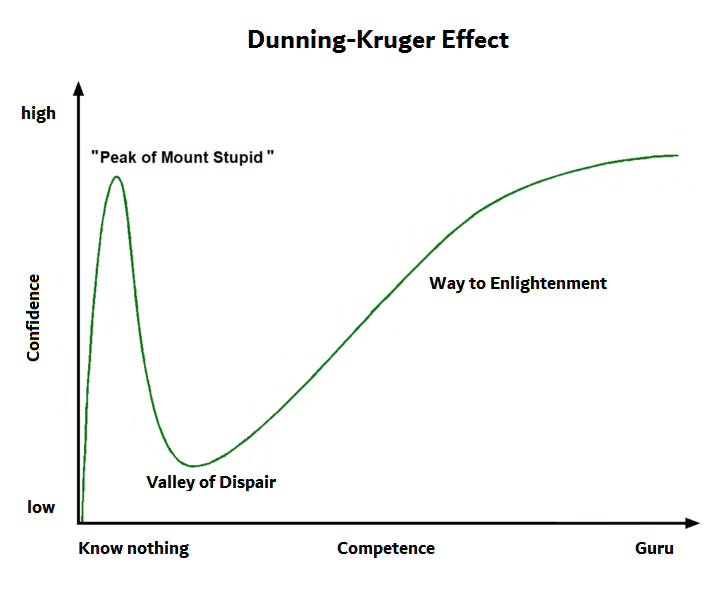 Beyond Mount Stupid - by Scott Bukofsky