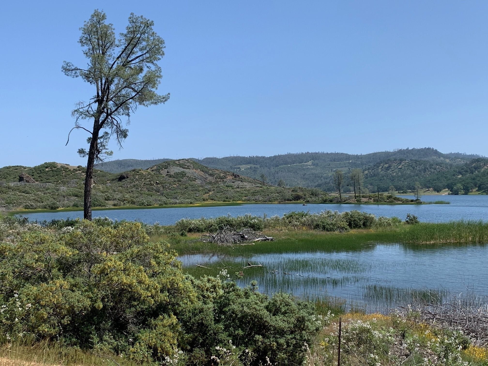 Under the Hood: Massive Guenoc Valley Luxury Resort to Begin Site Work ...