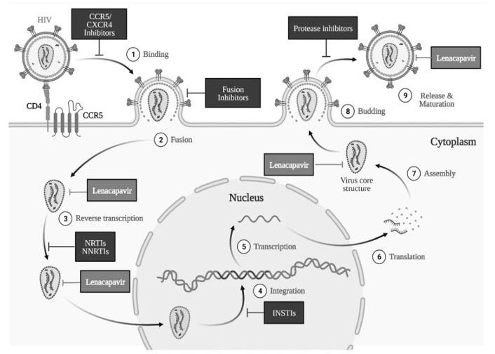 Beyond the Injection - What Lenacapavir Means for HIV, Autonomy, and ...