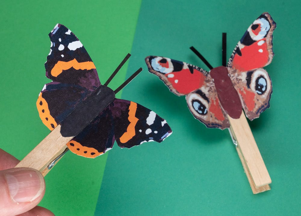 Butterflies - Rob Ives Workshop Notes