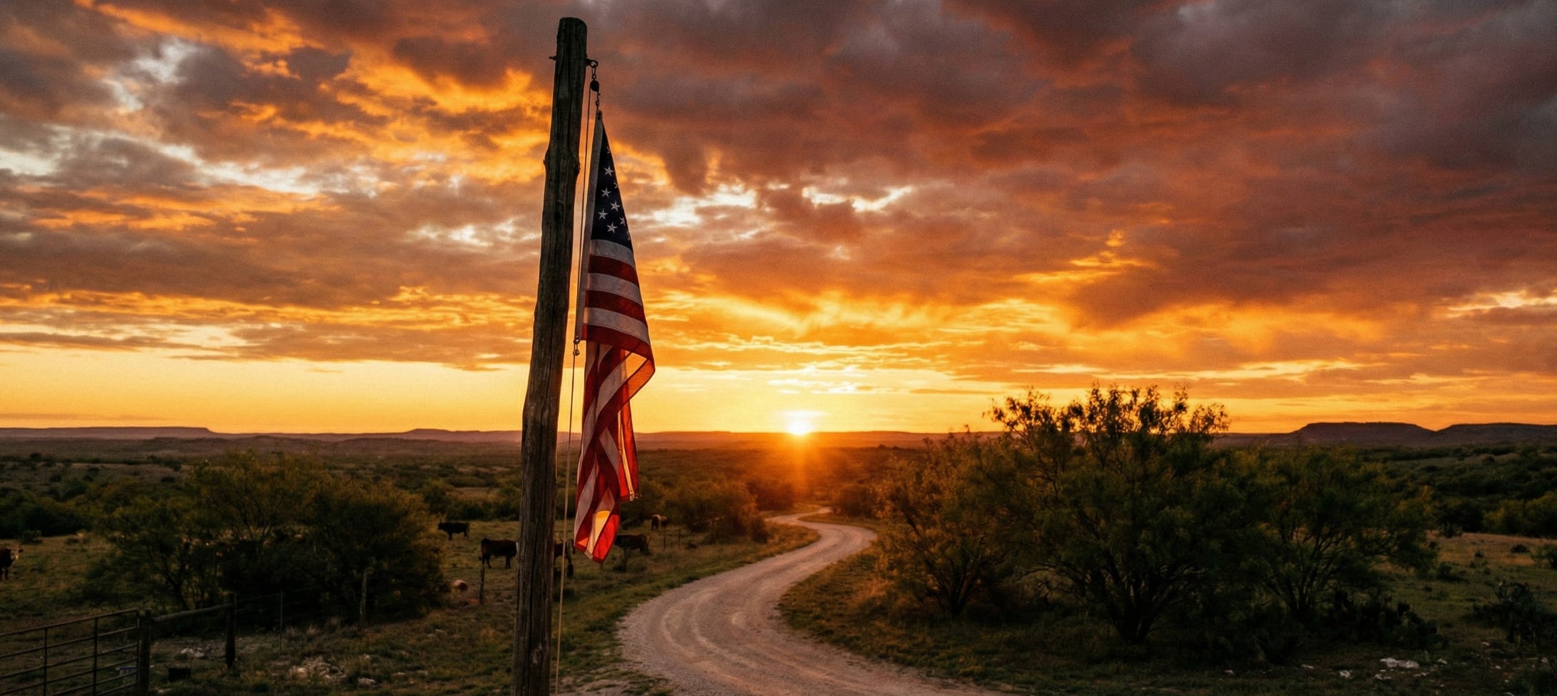 Who is coming to save us? - by Austin Weatherford