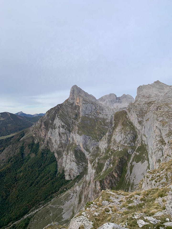 Looking back on 2025 at Emotions at Work