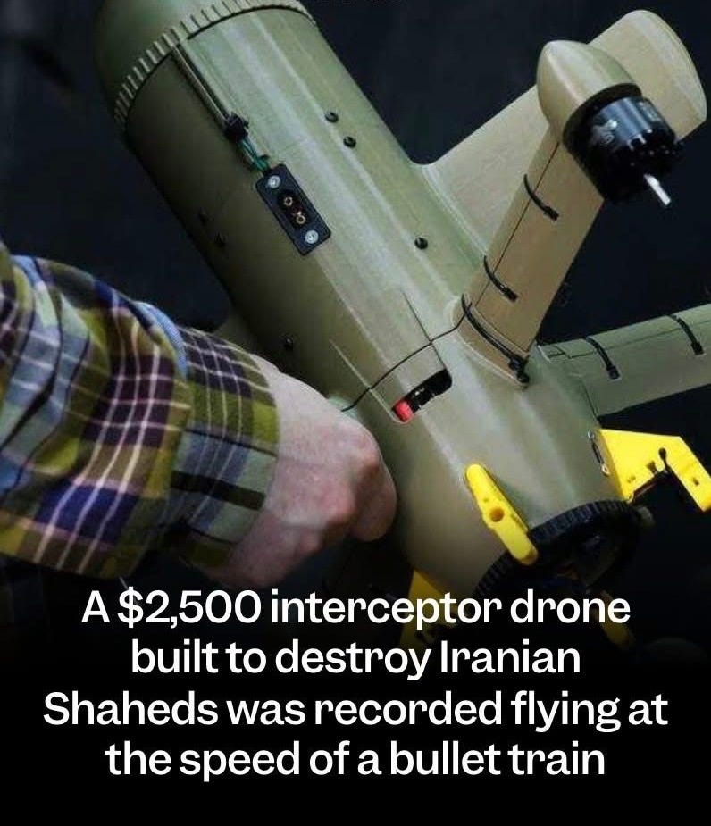 Ukrainian Wild Hornets Sting Interceptor Drone - A Game-Changer in ...