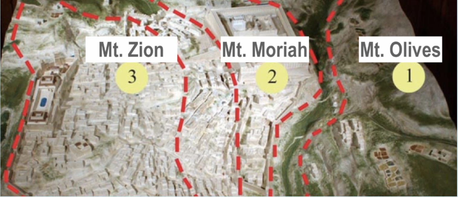 When Zionism is Hijacked - by Lame Cherry - Lame’s Substack
