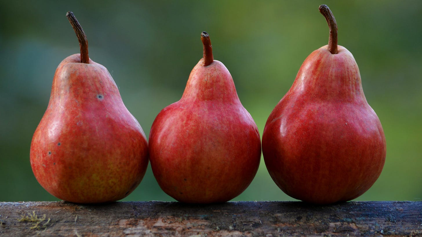 Pear Vs Apple - by Kate - YogiRD Substack