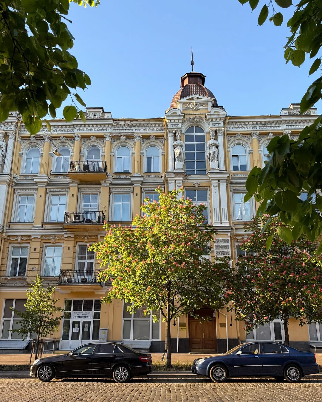 How chestnut trees became a symbol of Kyiv