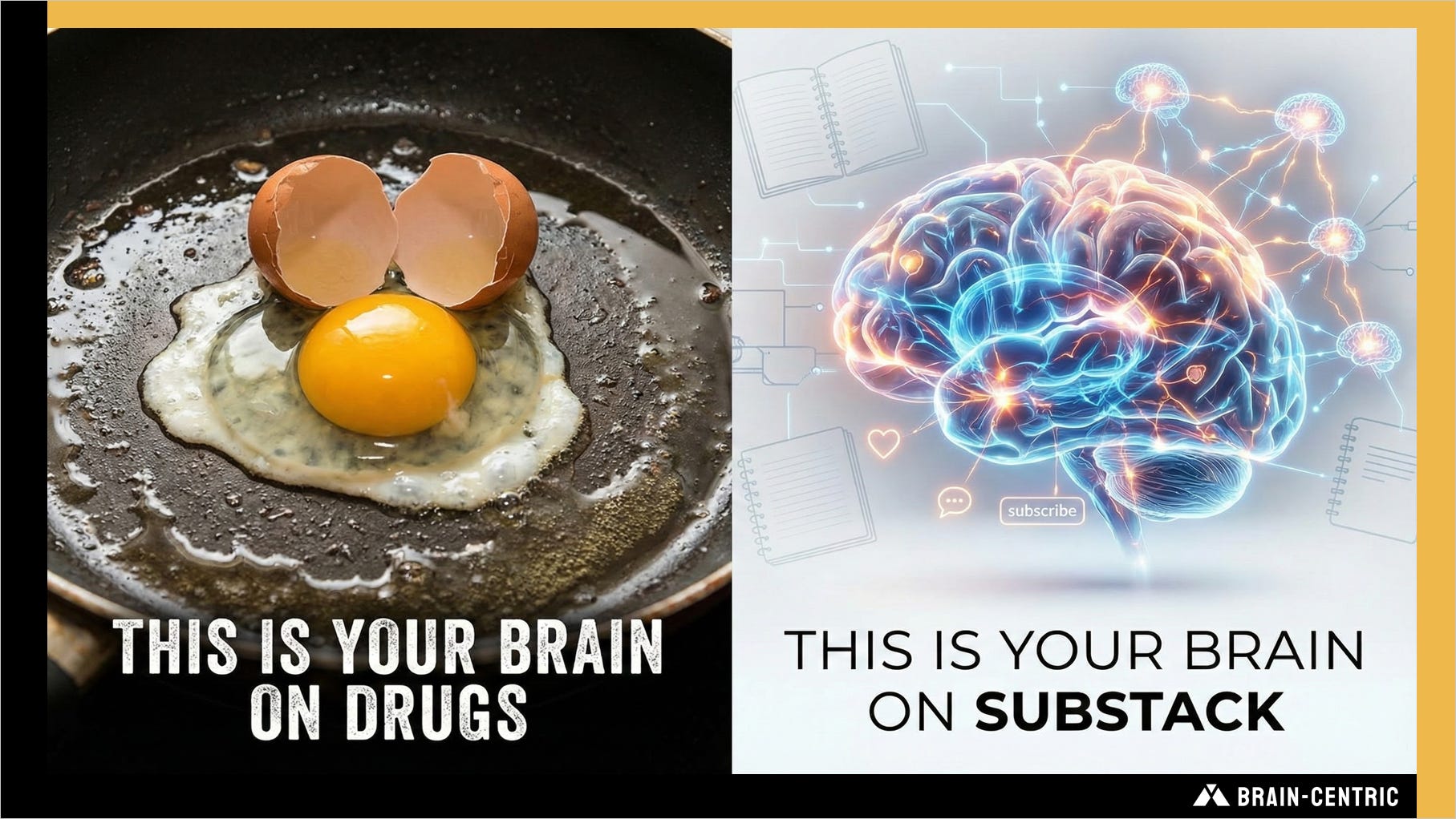 The Substack Algorithm Isn T Your Enemy Your Brain Is