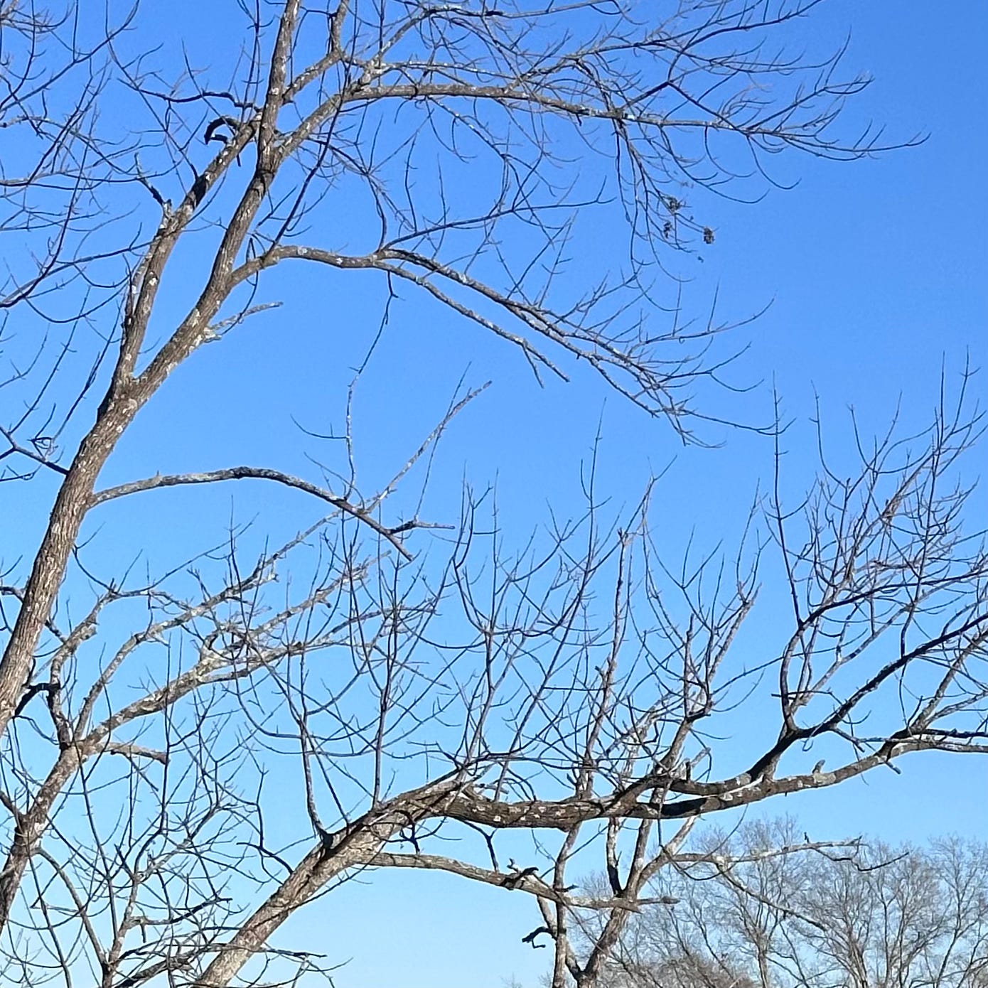 Sleep. A Winter Spiritual Practice - by Niki Hardy