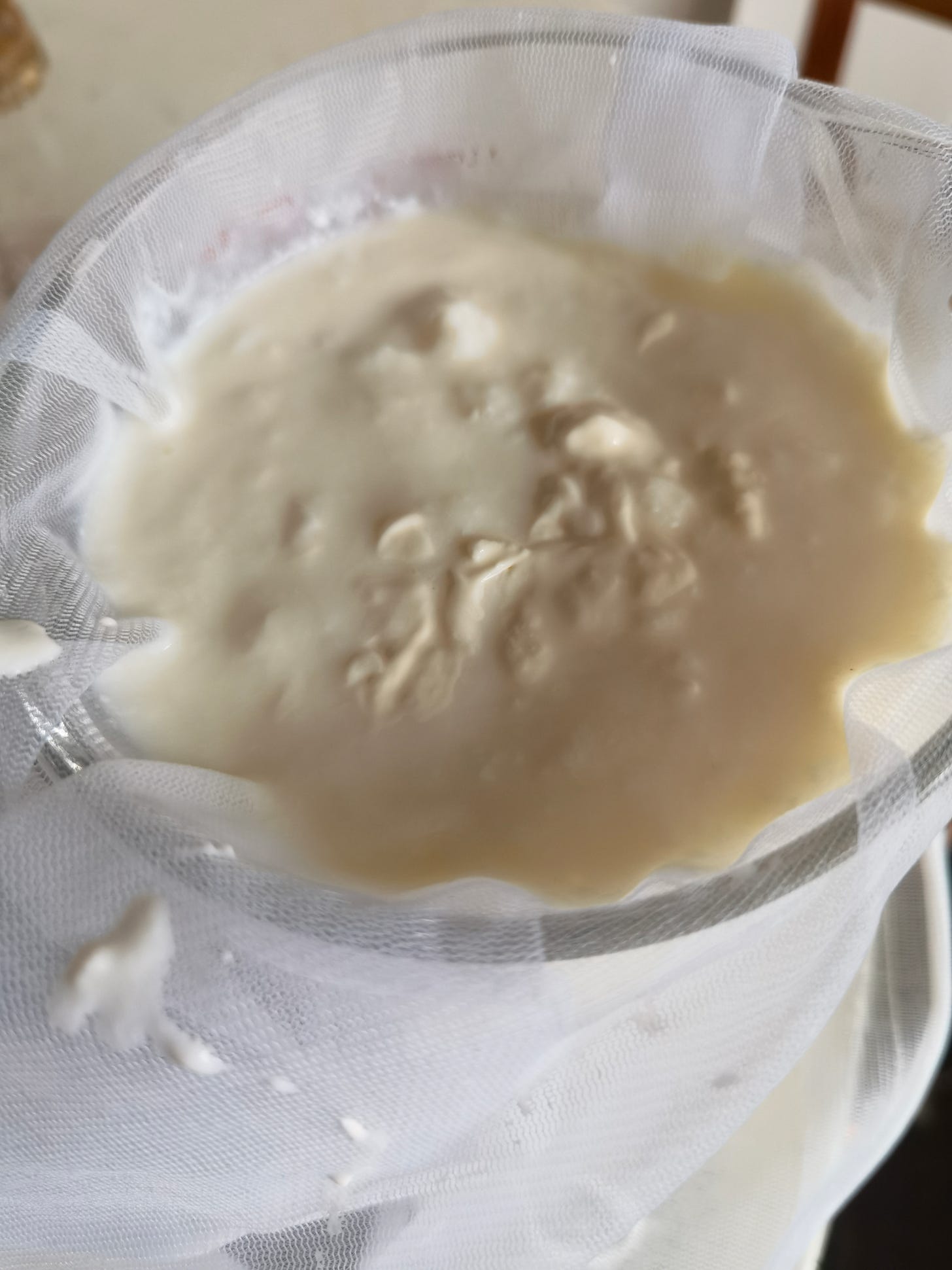 How to Make Traditional Clabbered Milk at Home