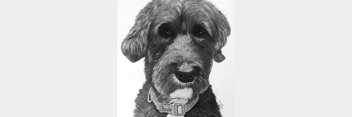 Marc Elias | Substack