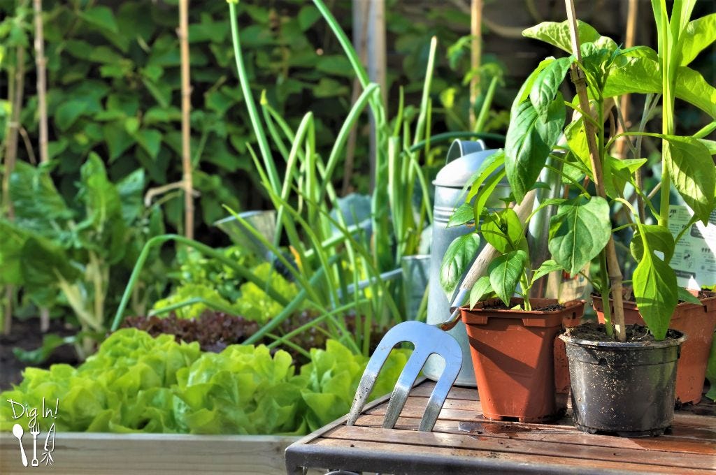 June Gardening Tips - by The Micro Gardener