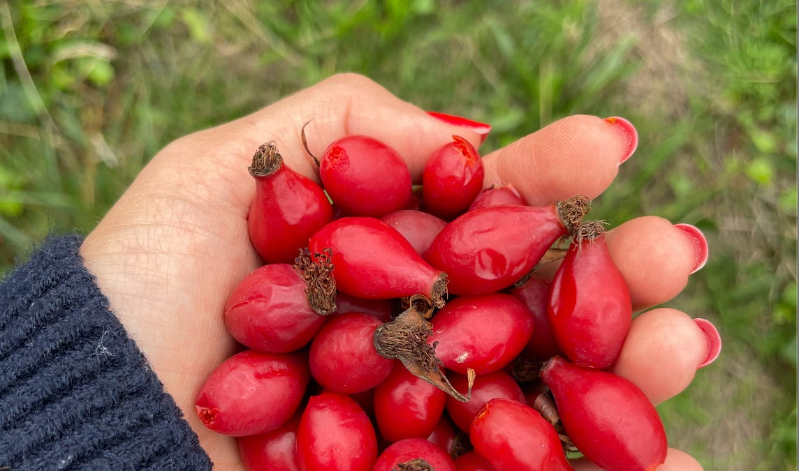 orange rosehips