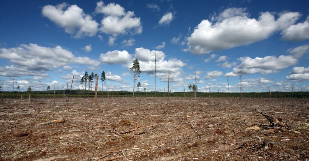Escaping Agricultural Sacrifice Zones - by Steven Disla