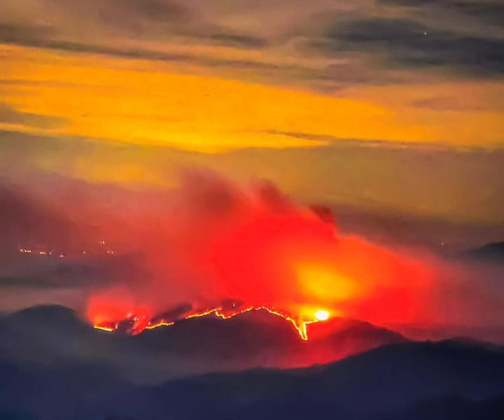 How Yesterday's Executive Orders Will Affect The Wildfire Agencies.