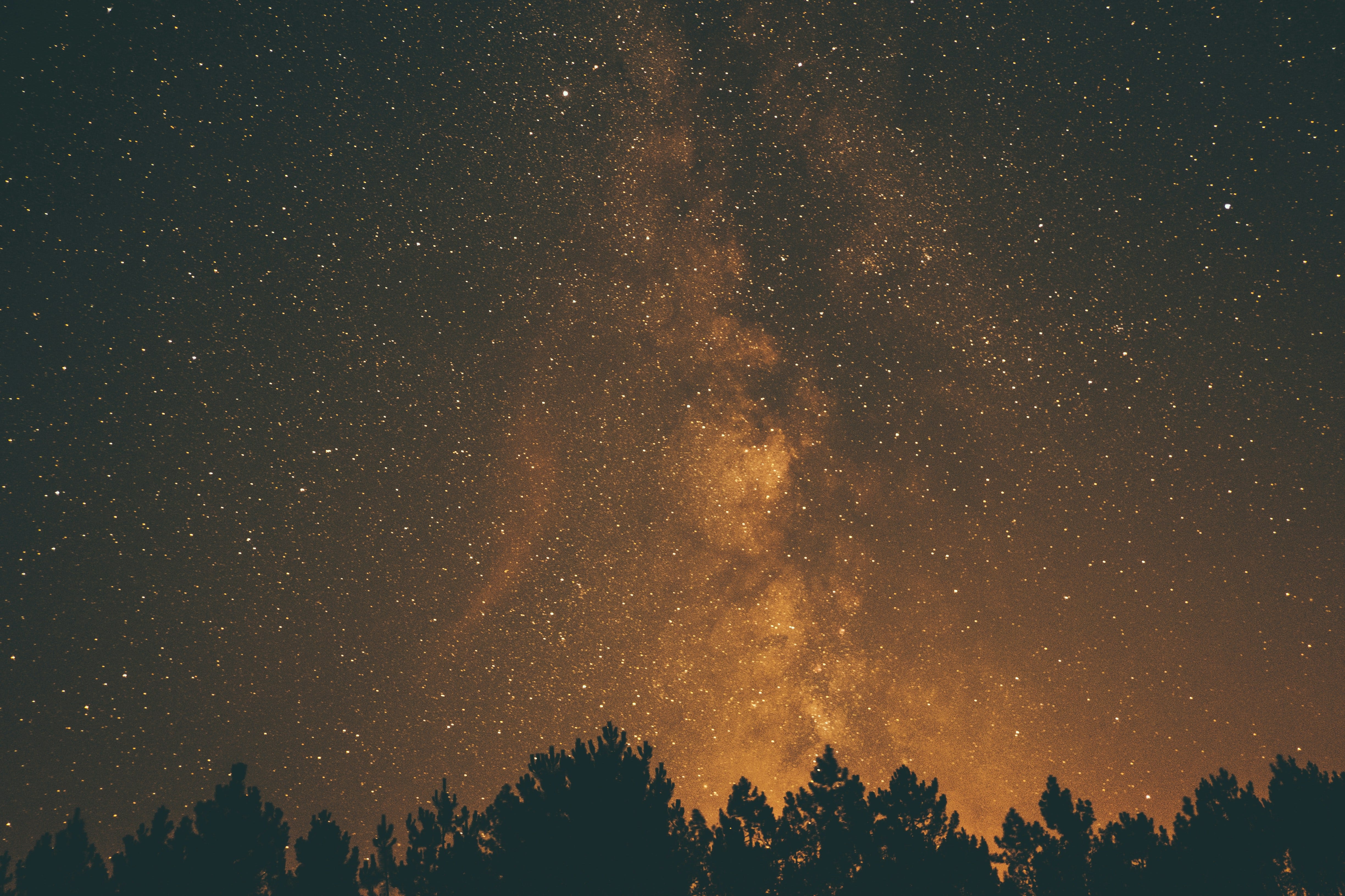 Liberating Hope - by Wade Mullen - Pellucid