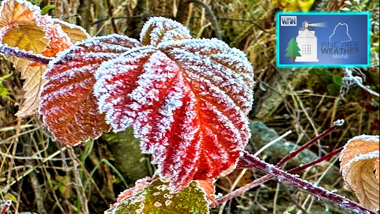 Freezing fog potential overnight into Friday
