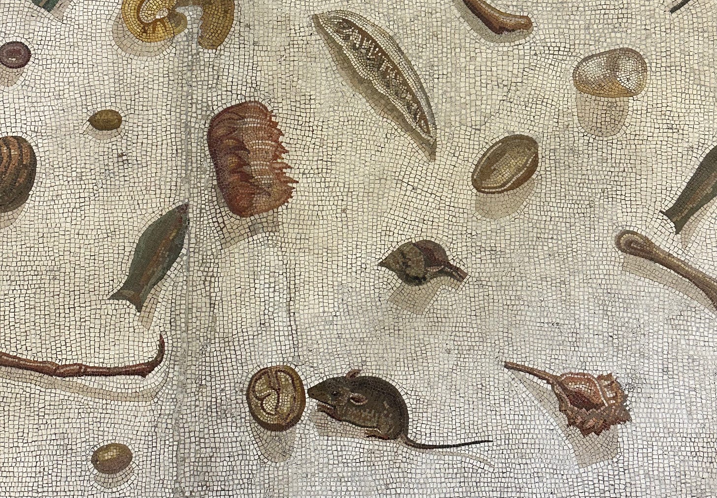 The Unswept Floor Mosaic at the Vatican Museums
