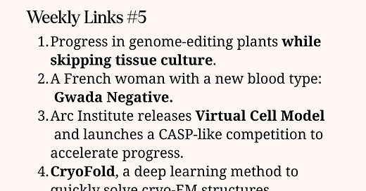 Niko McCarty | Substack