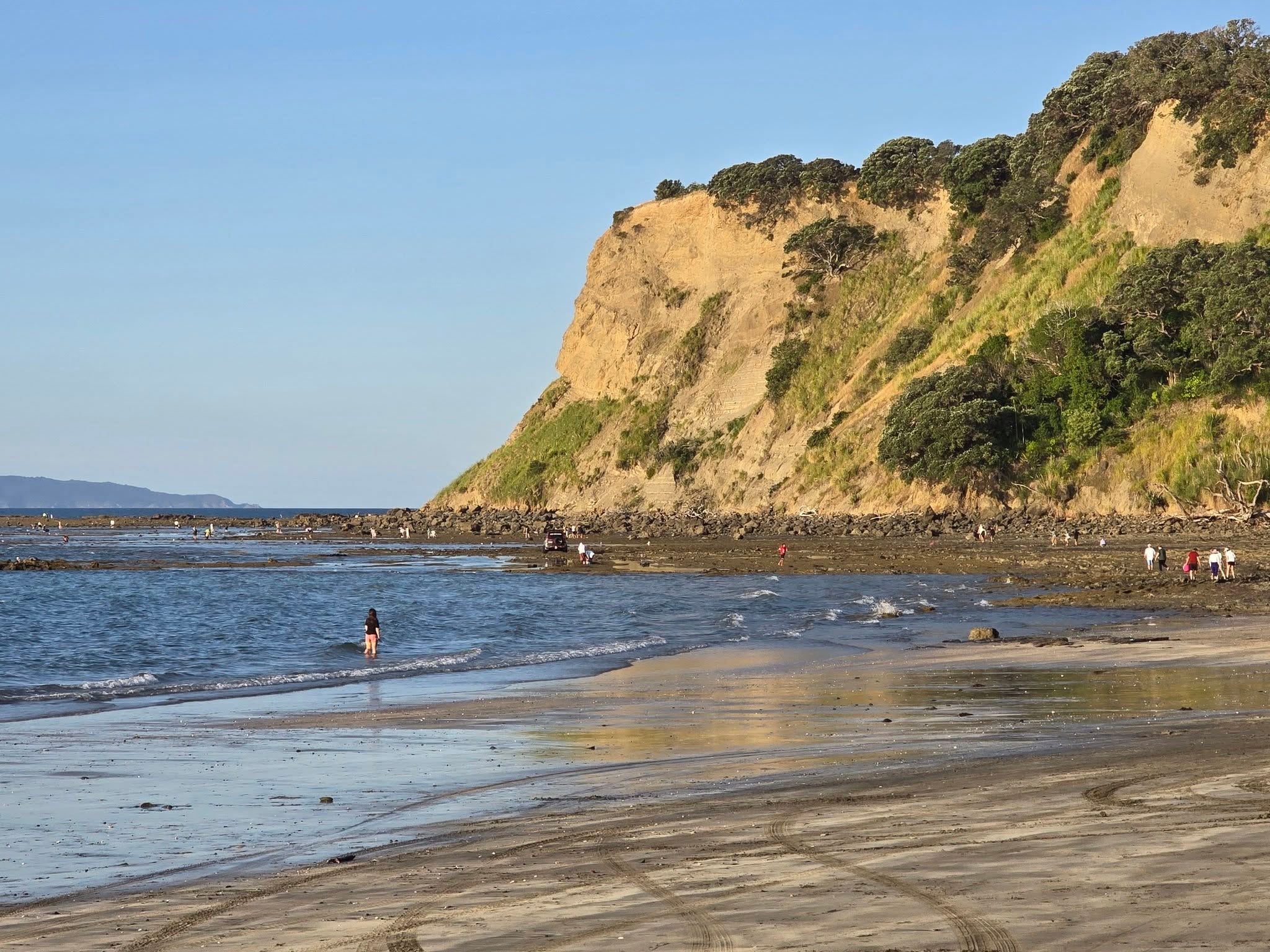 Breaking Views: Matua Kahurangi: The rape of our rockpools - How ...
