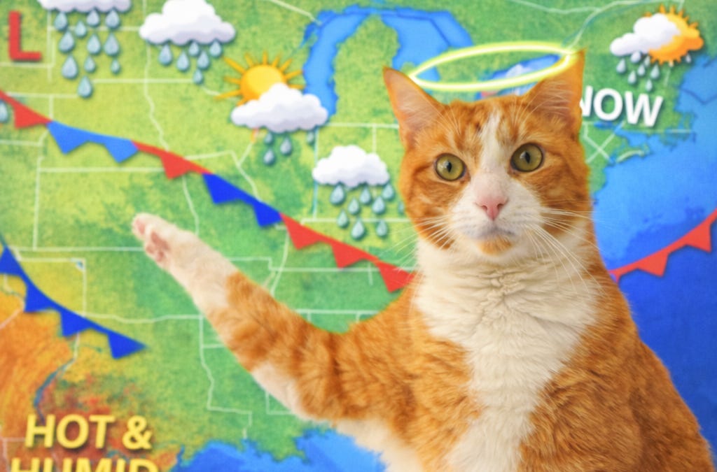 Comments - Bob Issues His Own Weather Forecast Because Enough Is Enough