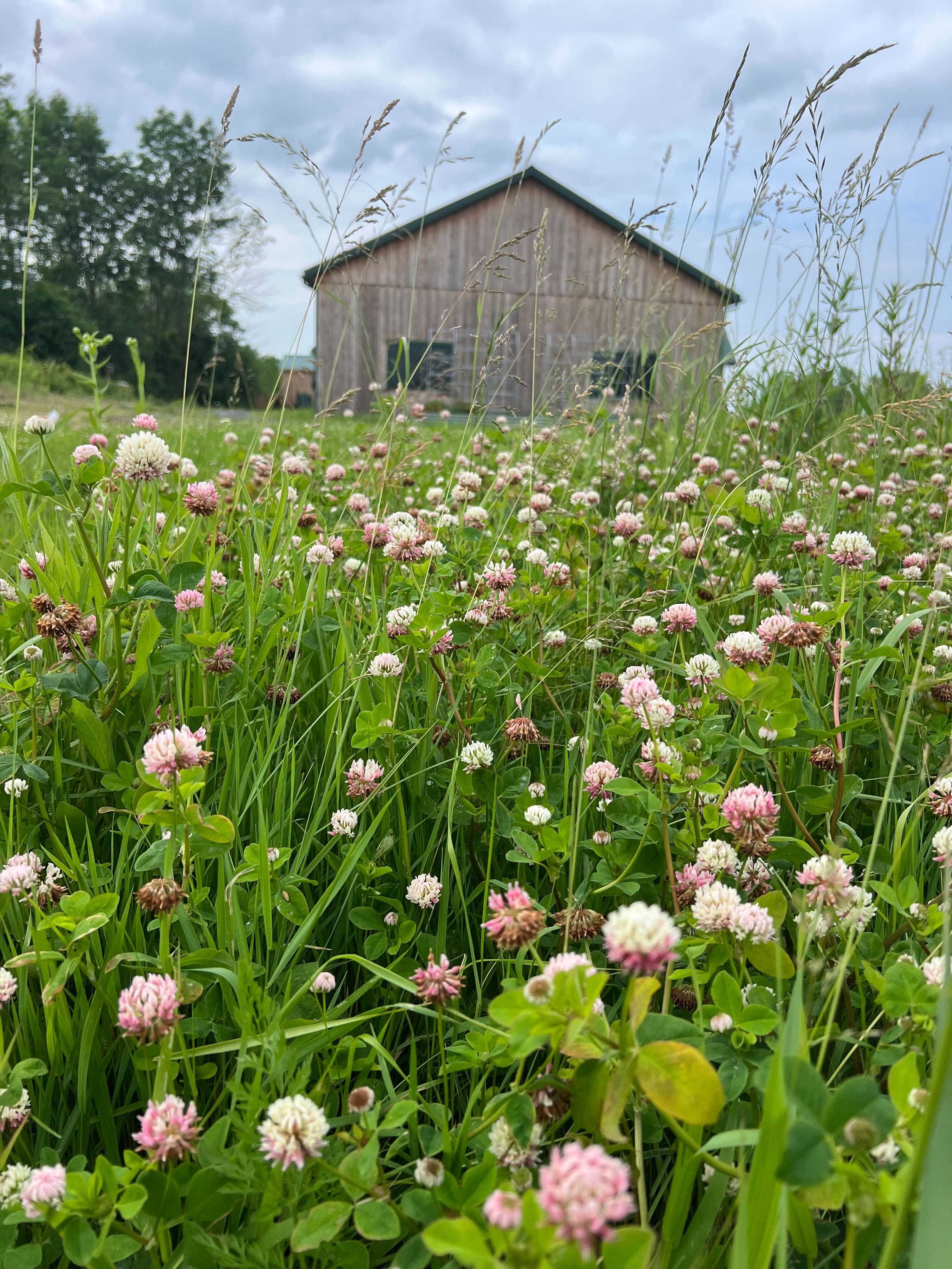 How to buy land this year (with no prior farming experience) using Farm ...