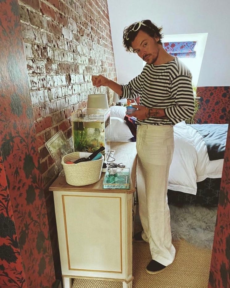 Harry Styles Turns 30 - Learn All His Fandom Nicknames