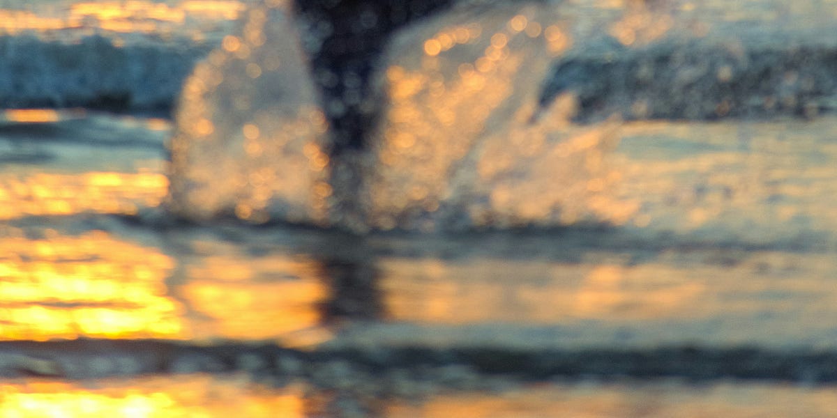 A gente era feliz e não sabia? - Kellyn Duarte