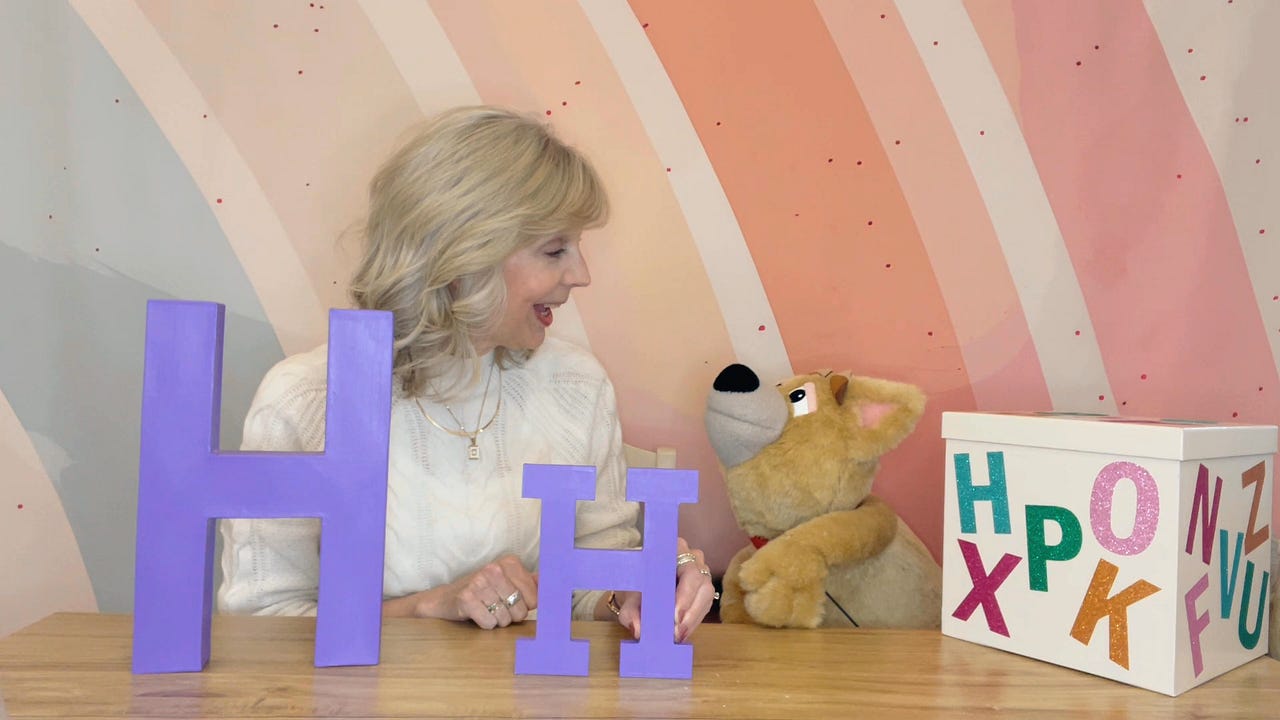 Hollydog’s Substack | Amanda | Substack