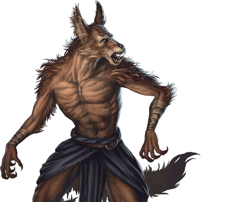 jackal monster hunter