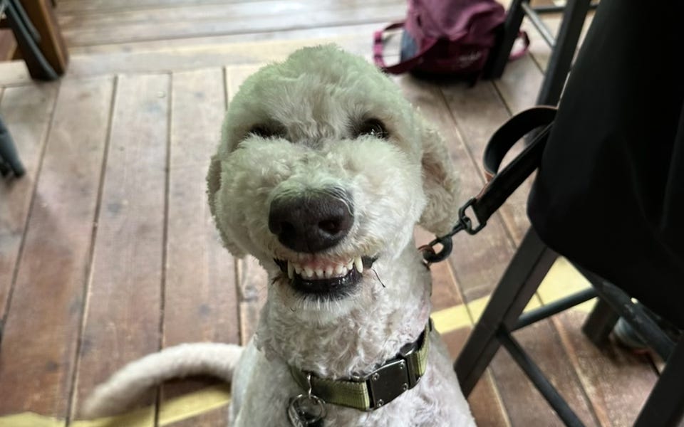 Behind-the-Scenes of Canada Resists - Canada Resists