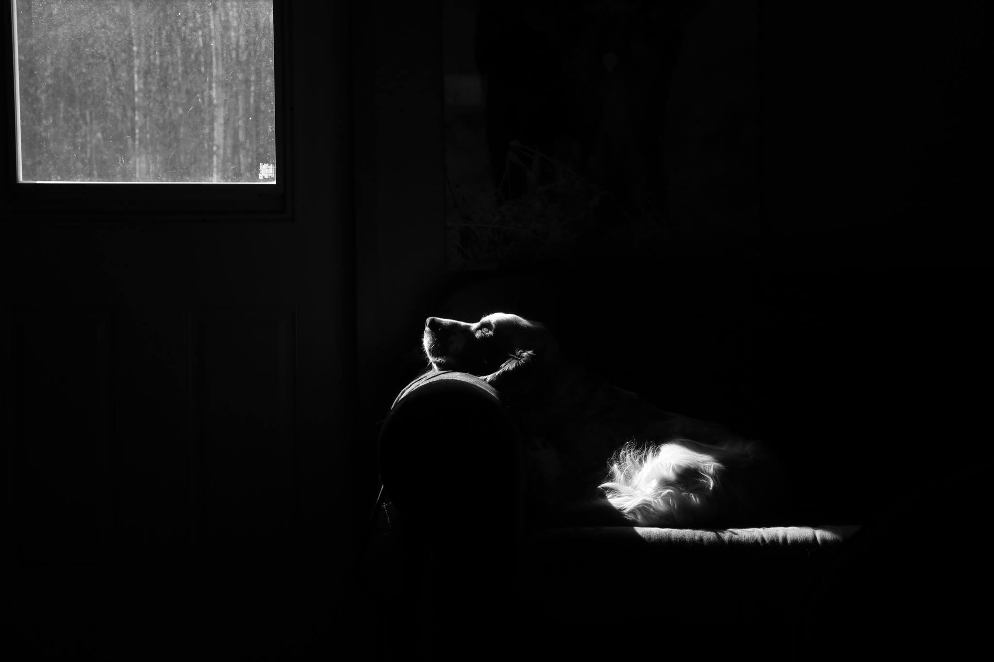 Stealth - by Christine Cunningham - That Time in the Rain