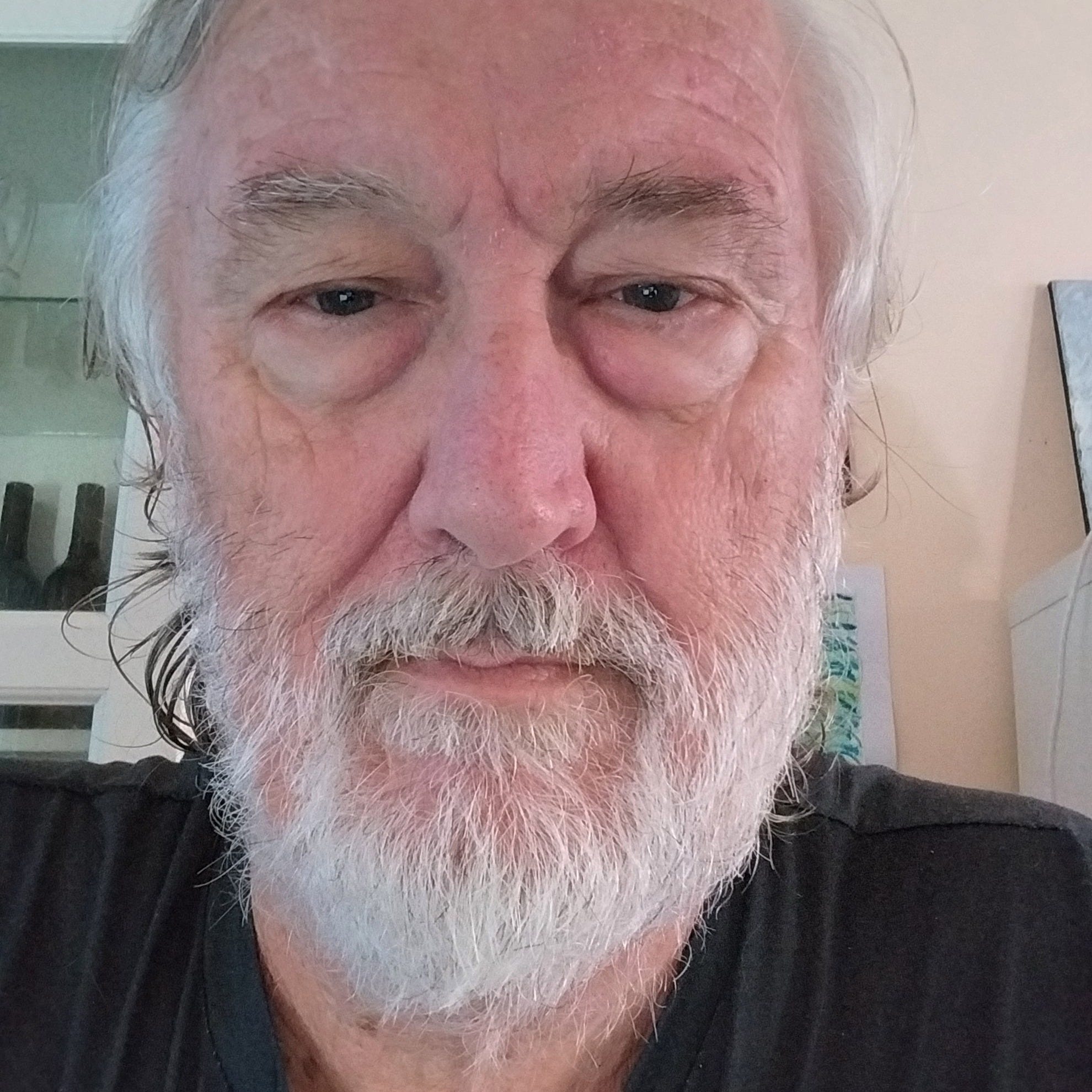 MICHAEL'S CURIOUS WORLD | Substack