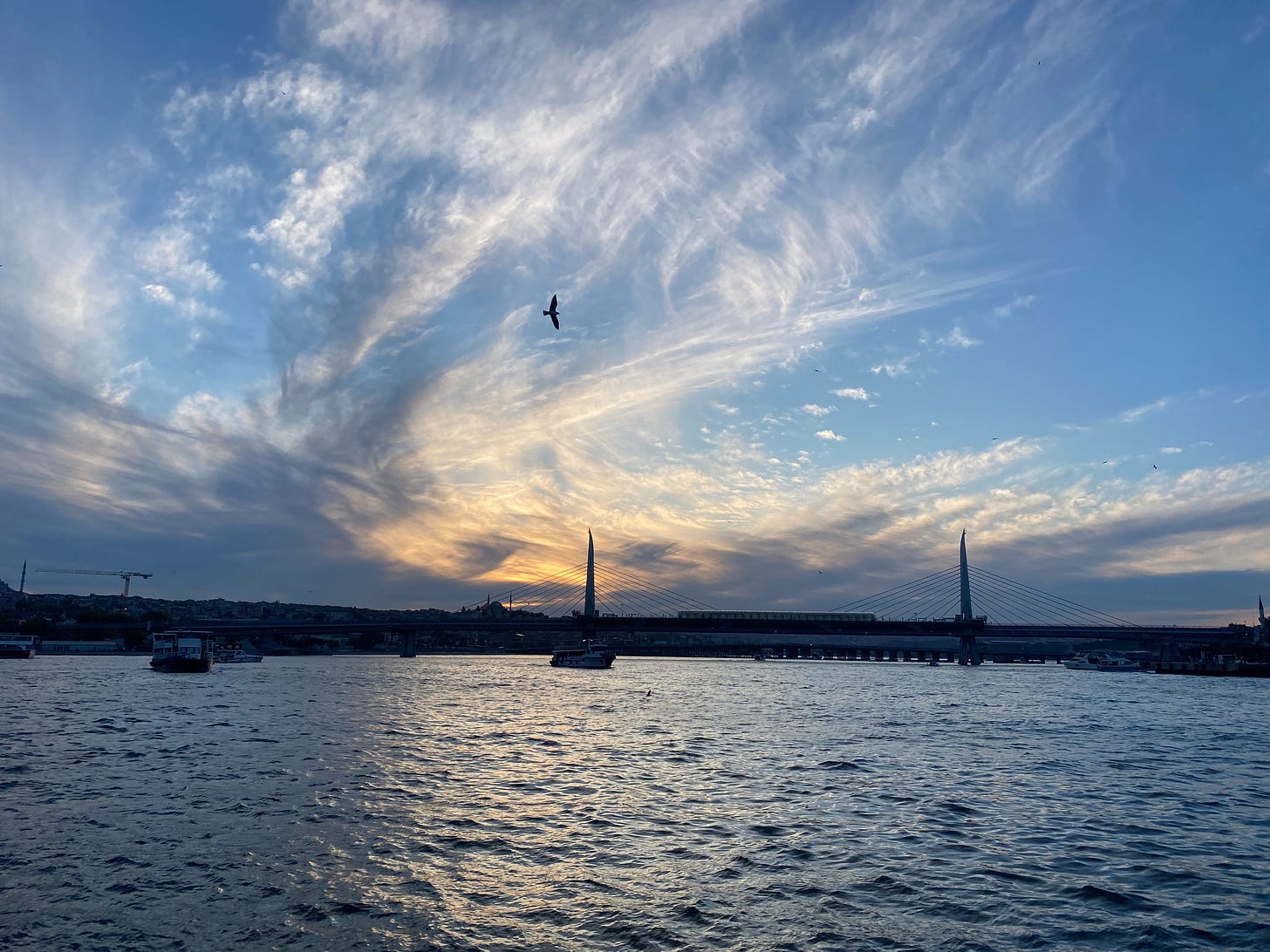 2026.05.20 Bir, Delhi, Istanbul, Litva
