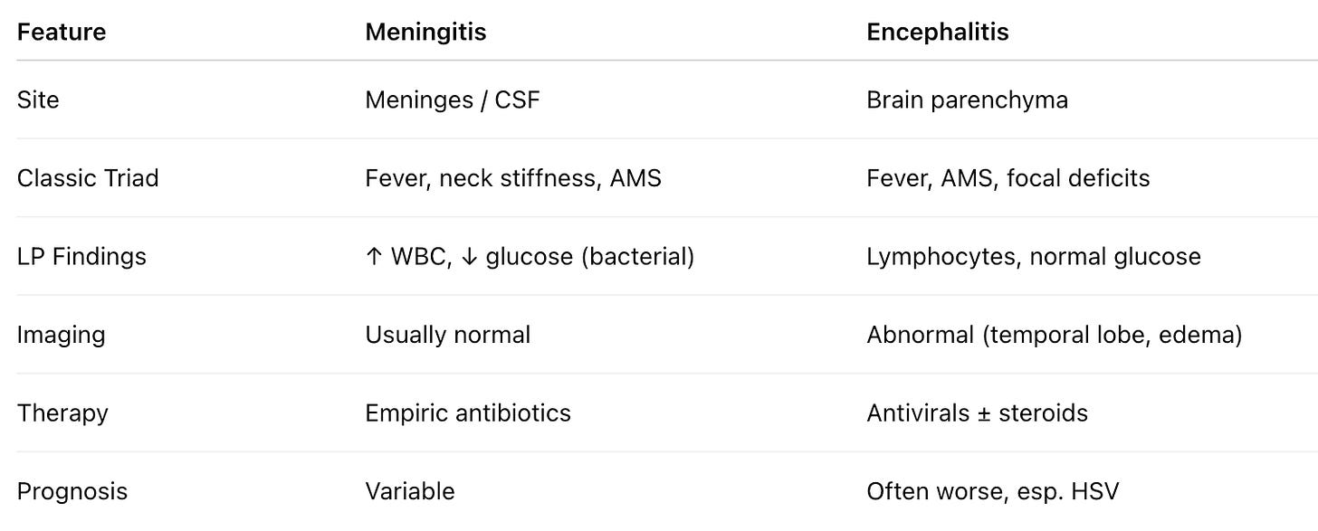 Meningitis vs. Encephalitis: When Infection Reaches the Brain