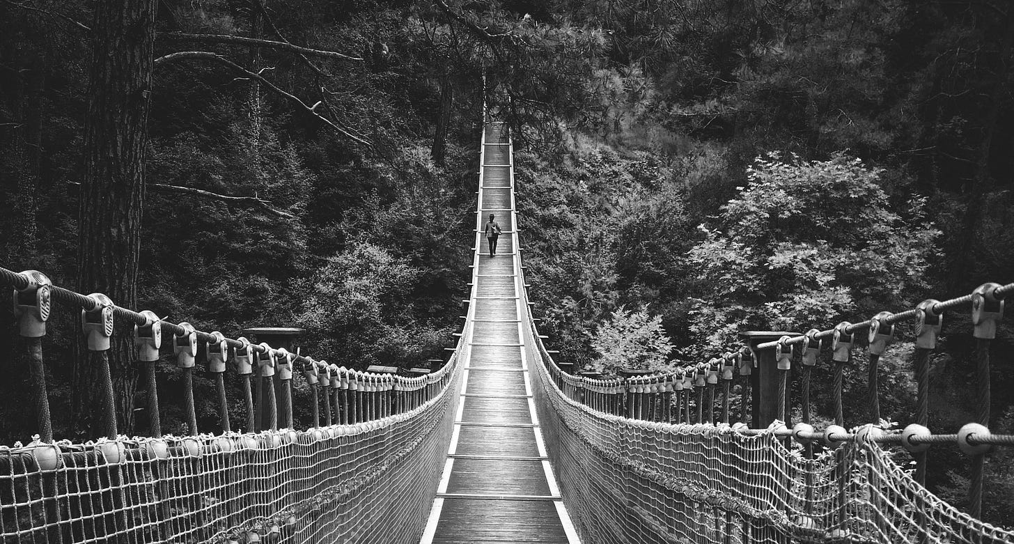 Jason Hickel - How popular is ecosocialist transformation? - Brave New ...