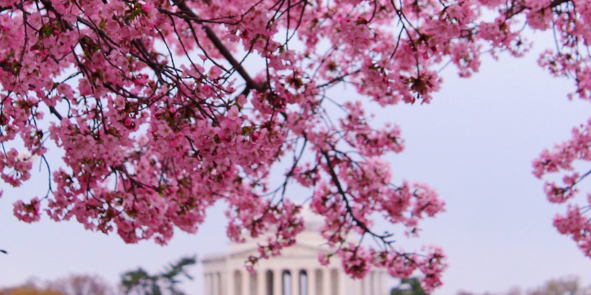 Comments - SPRING GREEN - by WAYNE CHRISTENSEN