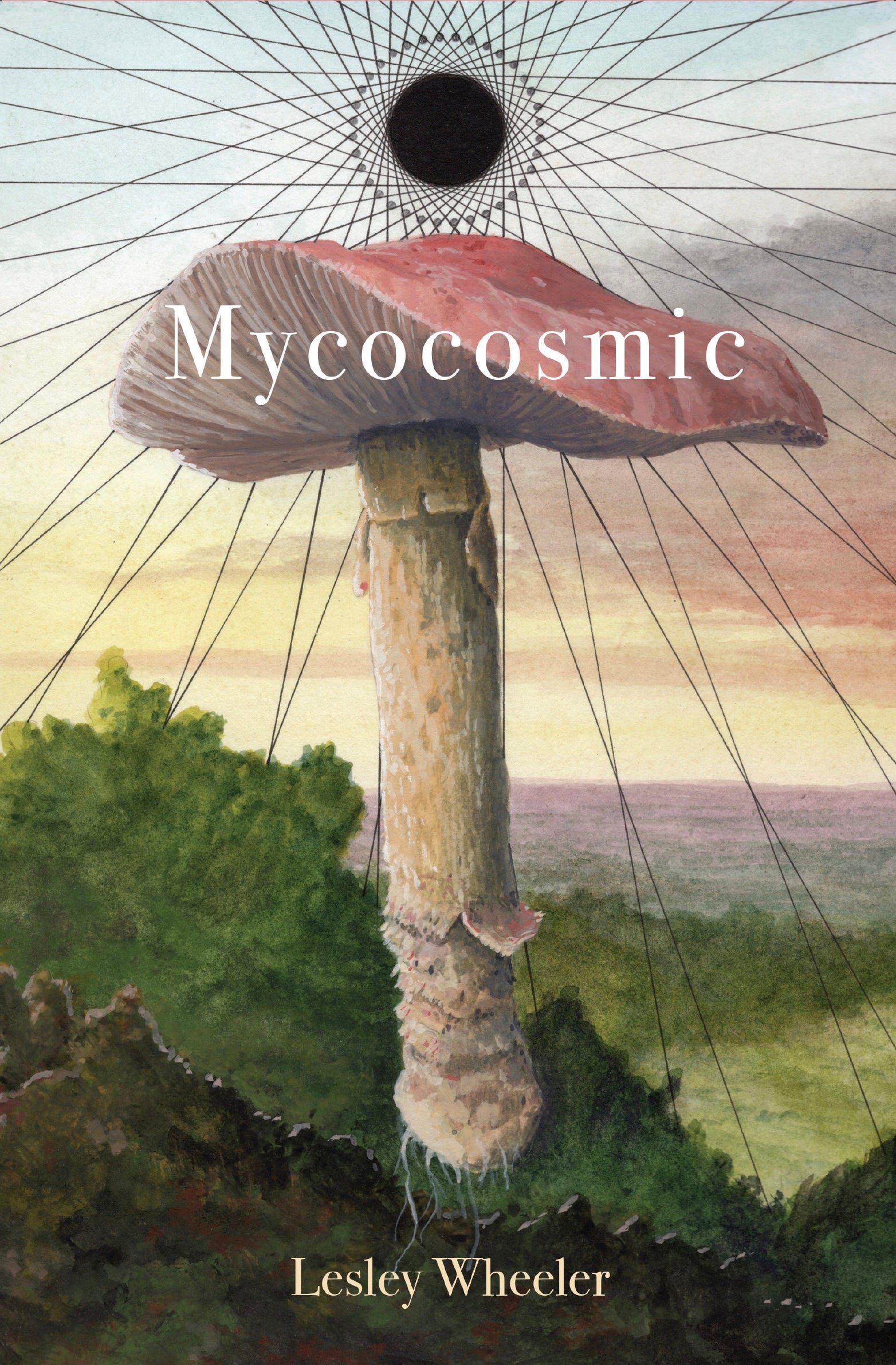 Poetic Ecologies: A Conversation Between Jane Satterfield and Lesley ...