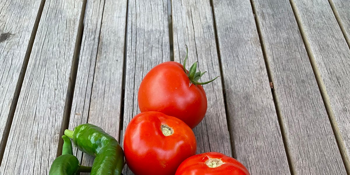 The History of Tomatoes in Italy and My Favorite Varieties Inspired by ...