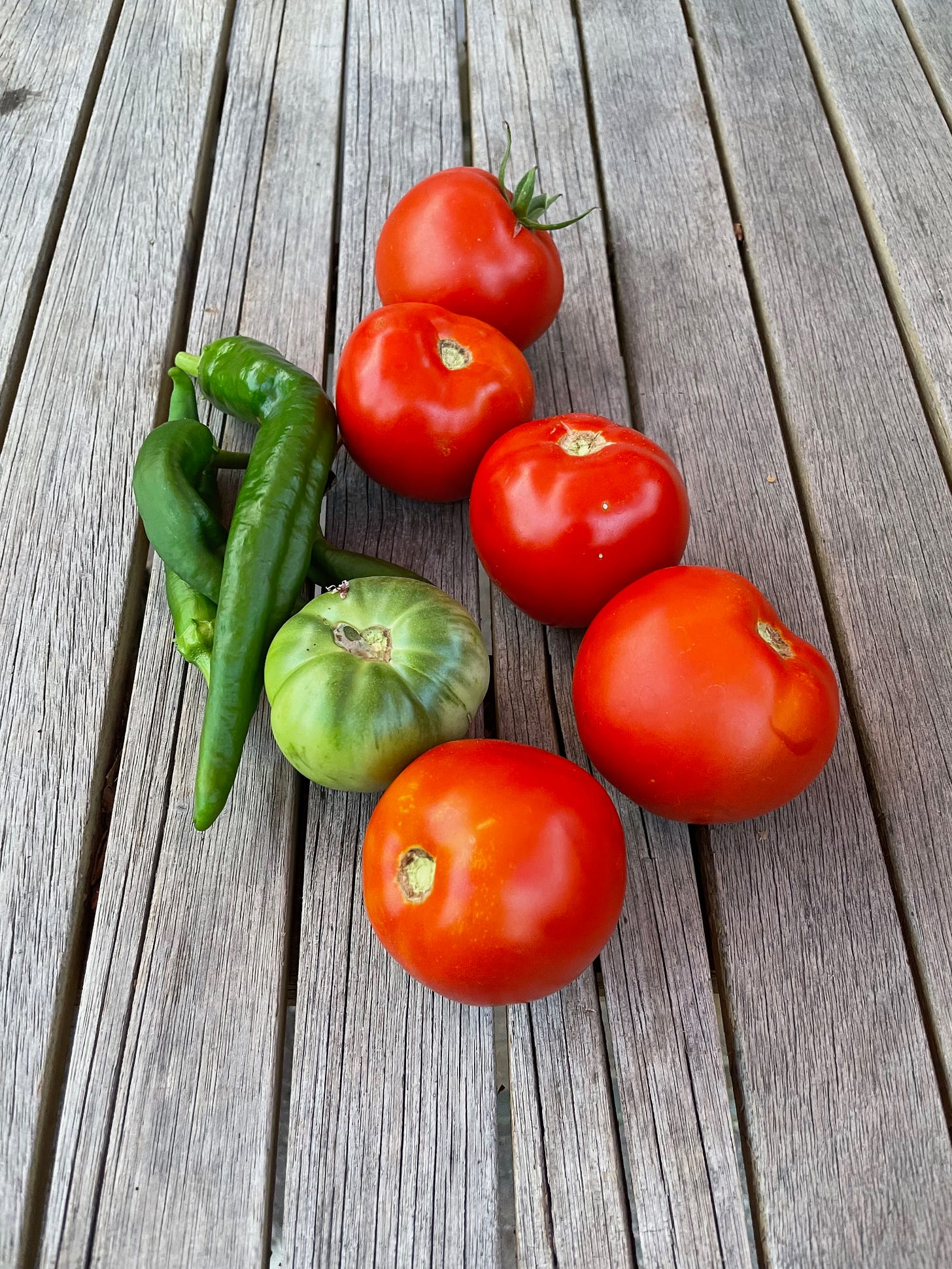 The History of Tomatoes in Italy and My Favorite Varieties Inspired by ...