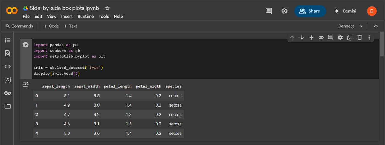 Google Colab: A useful environment for beginners in R or Python programming