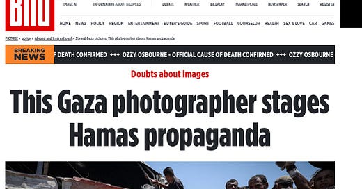 Alison Bull | Substack