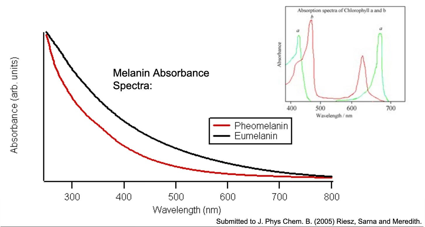 The Ultimate Human Superpower You Never Knew You Had: Melanin — The ...