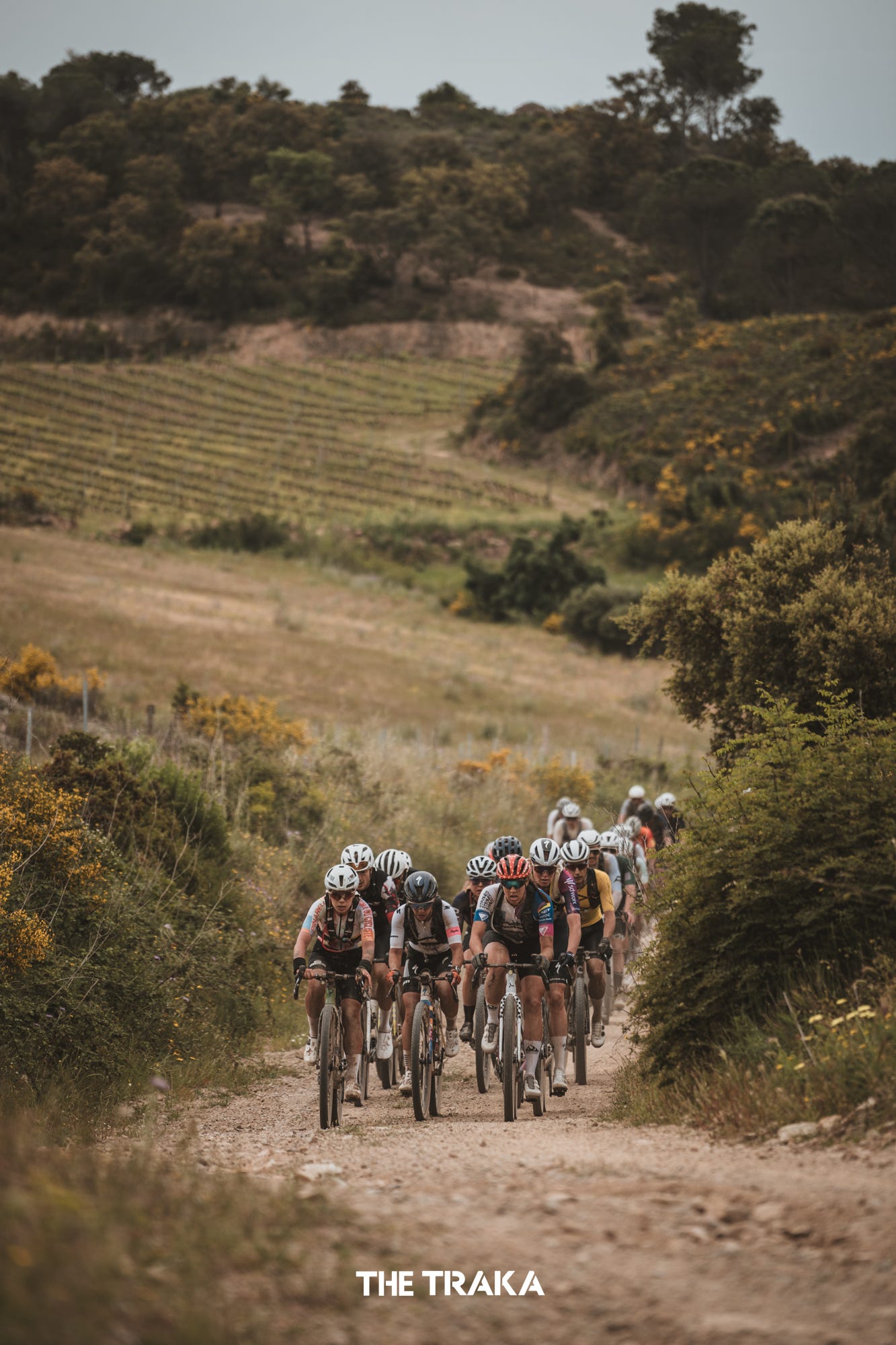The Traka 2026: Girona Reopens for Europe’s Biggest Week on Gravel